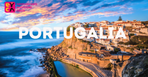 Strona Główna - Euro26